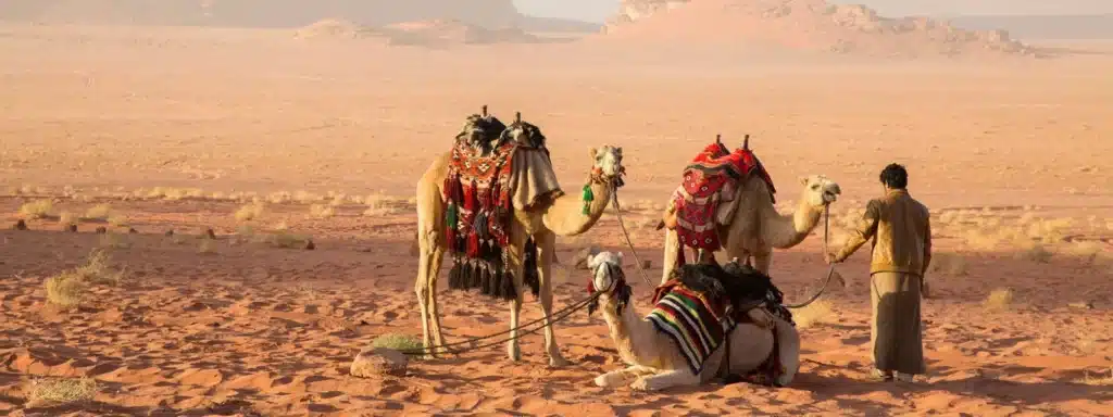 Visit Wadi Rum: Ultimate Desert Tours, Bedouin Camps & Travel Guide1